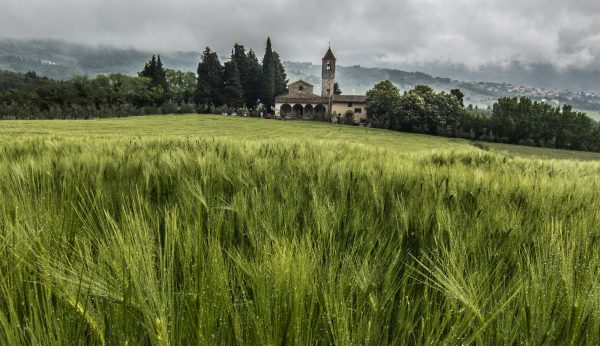 Monte Morello. Storie e bellezze della sua gente di Egisto Nino Ceccatelli