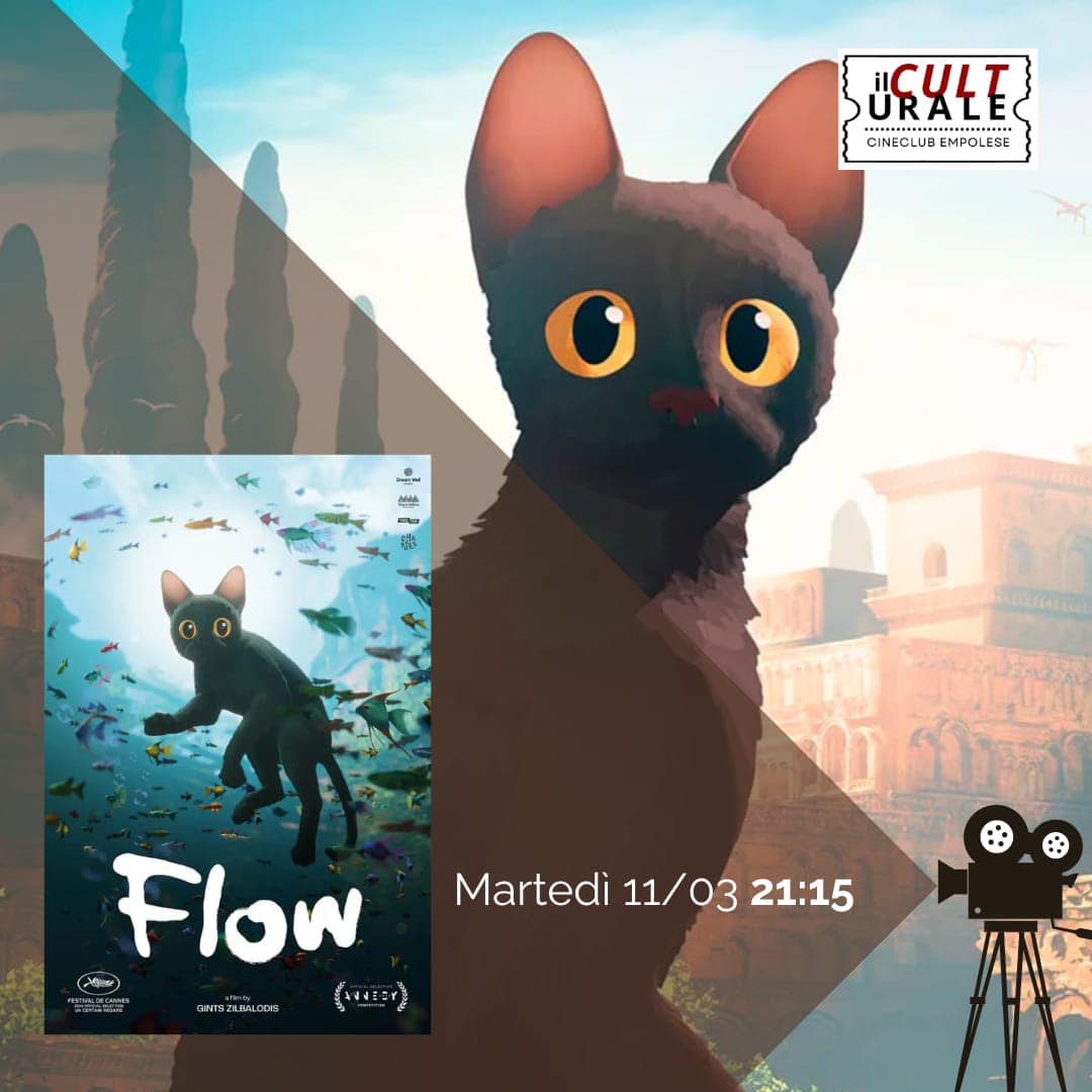 Flow | Cinema Excelsior - Empoli